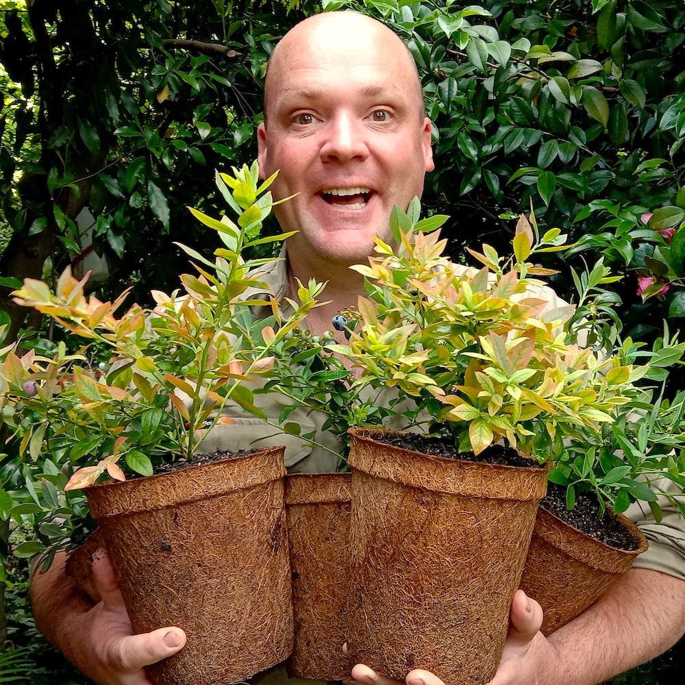 Home - Kalamunda Plant Company